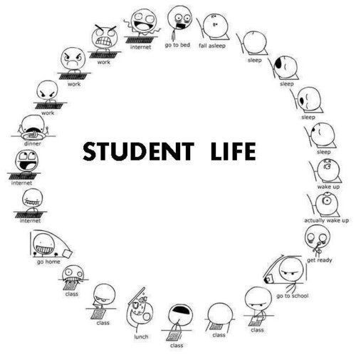 A Whimsical Depiction of Student Life | TotallyUniqueLife.com